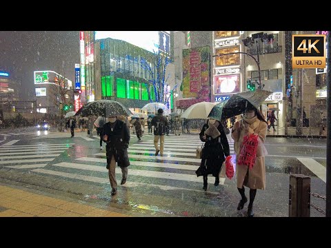 [4K60]Tokyo Snow Walk⛄️Shinjuku Golden Gai, Kabukicho, Godzilla(February 10, 2022)