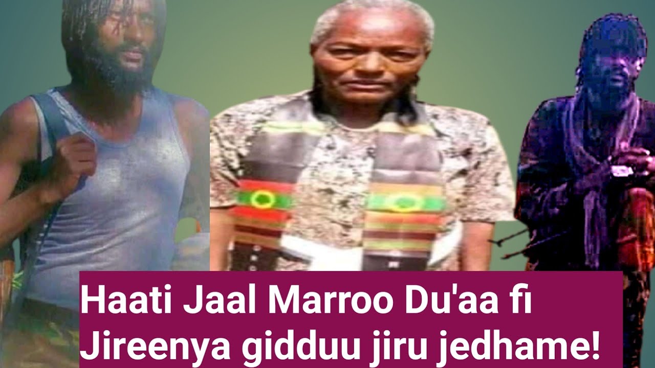 #Update! Harmee Jaal Marroo Dirribaa Reebicha ulfataa irra gaheen ...