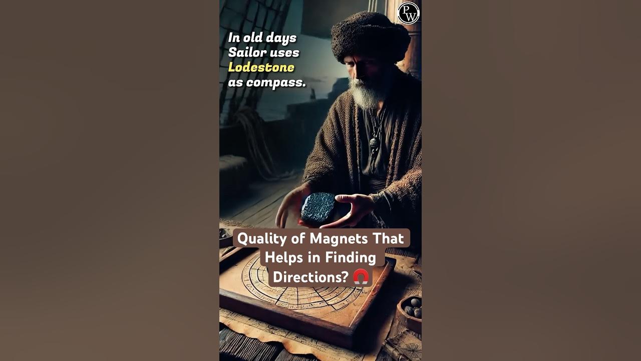 Let's explore magnets 🤩💯 #PWShorts - YouTube