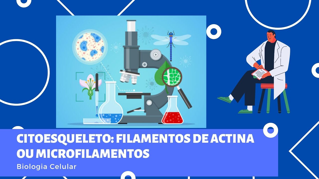 Citoesqueleto: filamentos de actina ou microfilamentos - YouTube