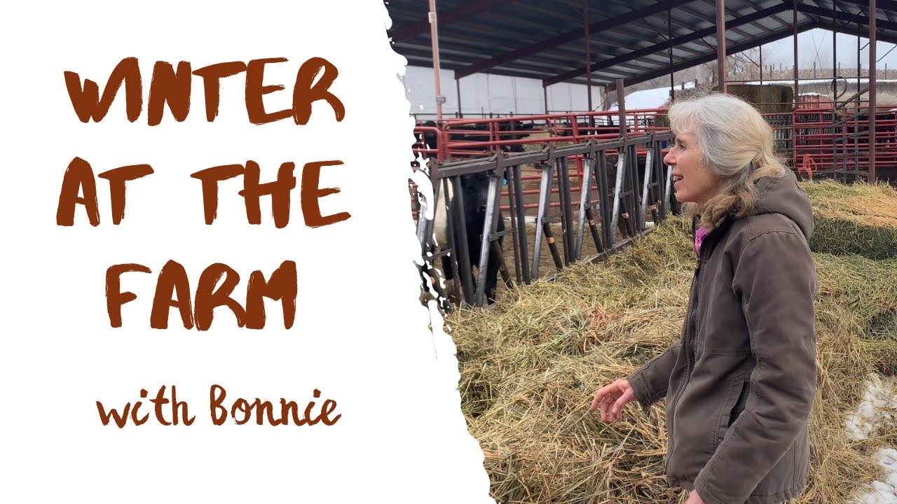 Winter At The Farm with Bonnie - YouTube