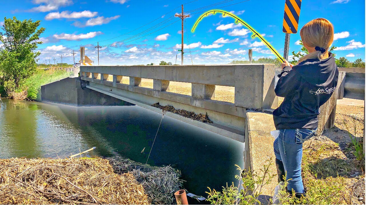 FLOODED Roadside Ditch/Creek Fishing!!! (Last Cast GIANT) - YouTube