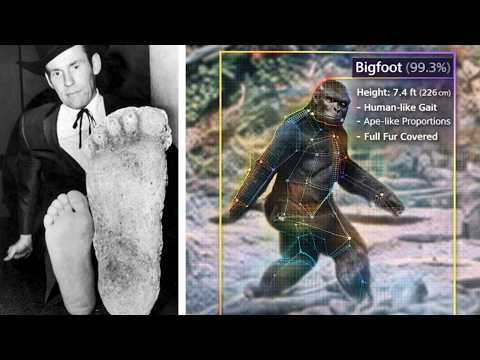 KI analysiert endlich den Bigfoot-Film von Patterson und Gimlin aus dem Jahr 1967 – Sie werden ni...