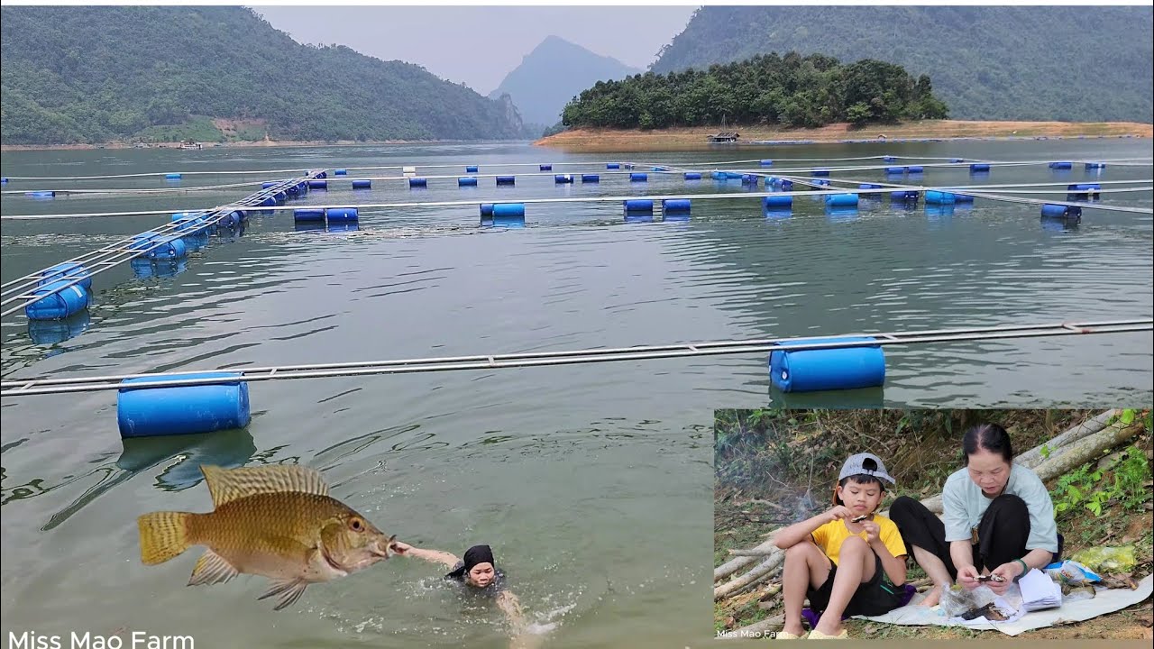 Fishing, raising chickens, living skills on the lake. - YouTube