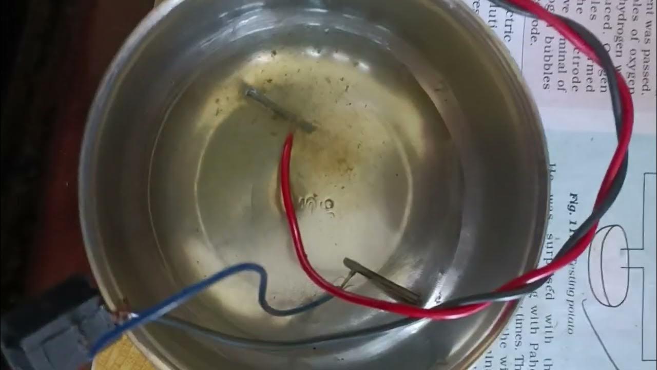 science experiment - YouTube