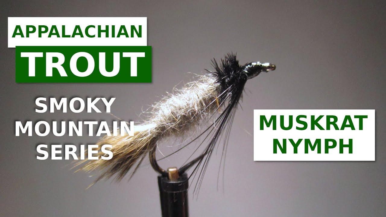 Muskrat Nymph - Fly Tying Appalachian/Great Smoky Mountain Trout ...