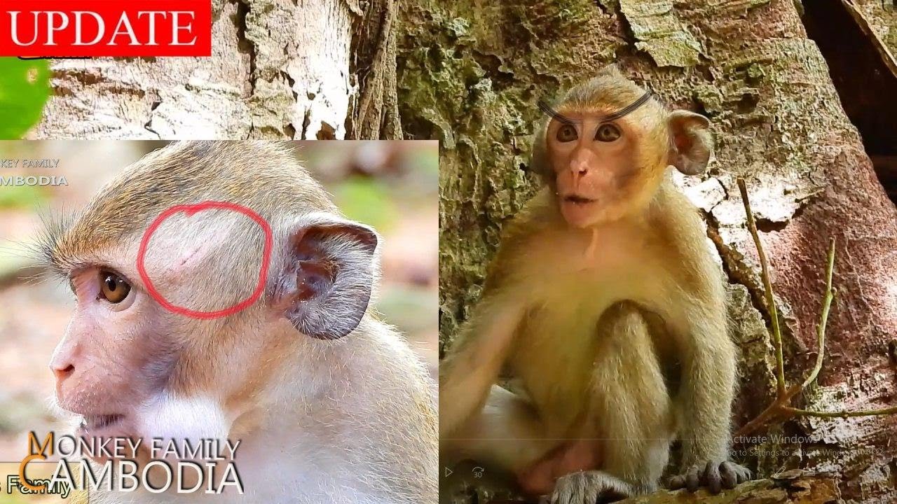 Janna's Head Got Scratched ..Not Know Who Did It to Her - YouTube
