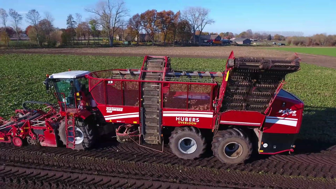 Sugarbeet Harvest | Rübenernte | GRIMME Rexor 630 - YouTube