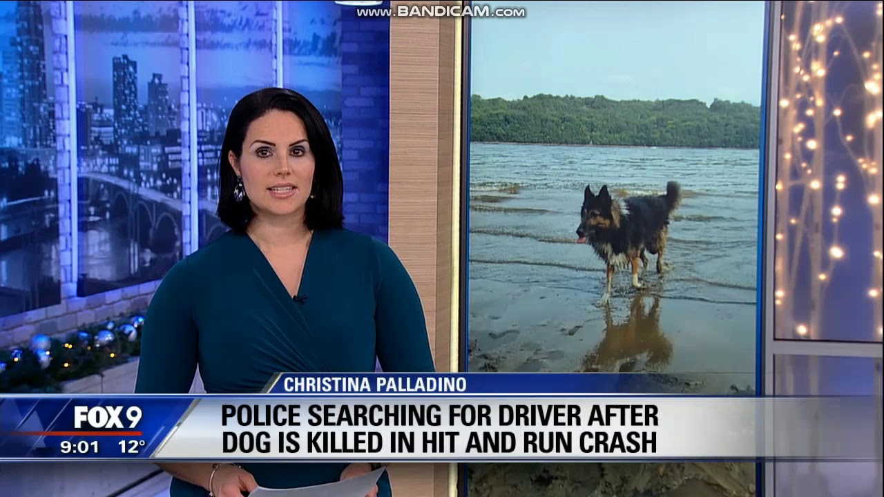 KMSP: FOX 9 News At 9pm Open--12/17/19 - YouTube