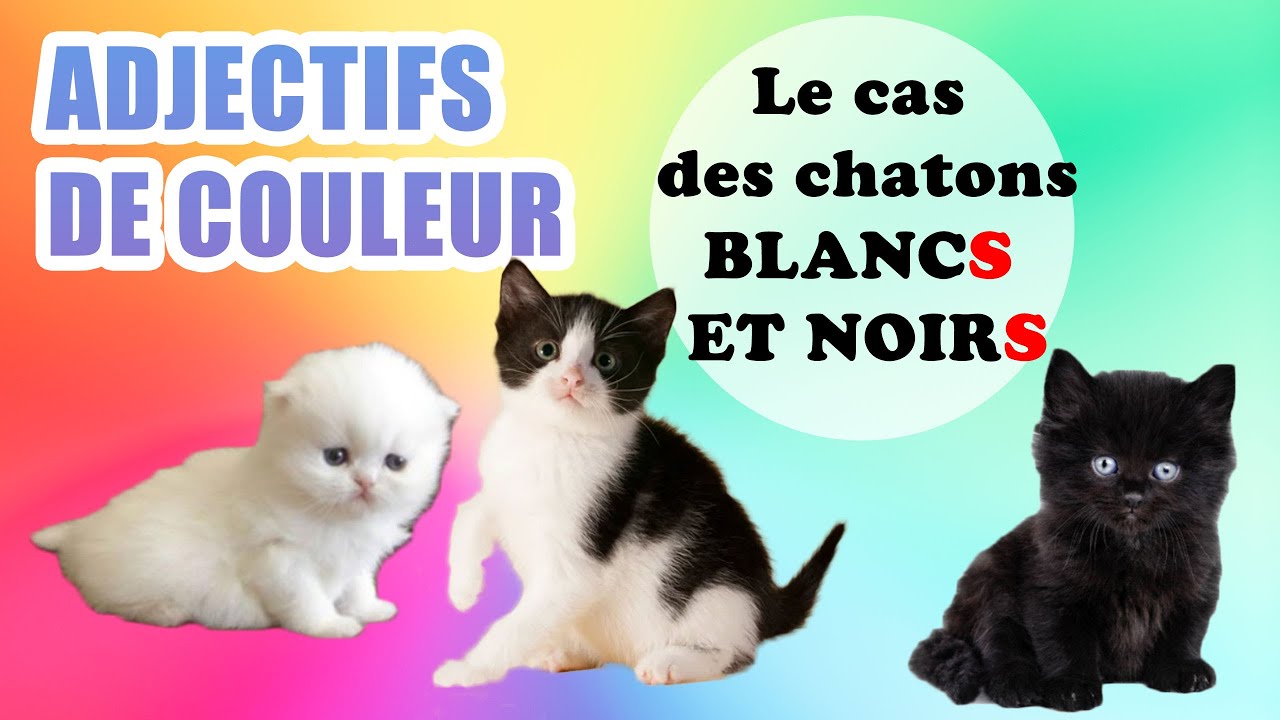 Règles d'Orthographe : Les Adjectifs de Couleur – Variables ou ...