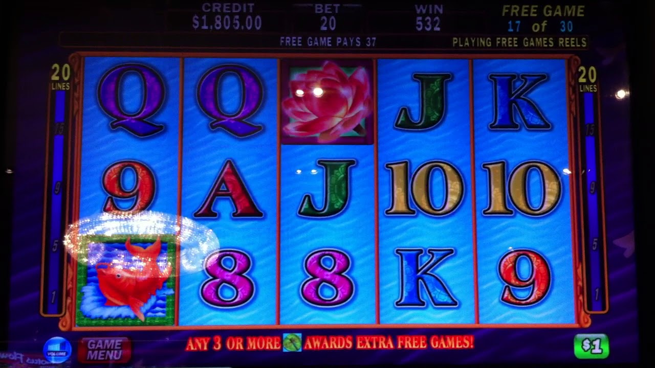 lotus flower $20 bet ..full of hope..... - YouTube