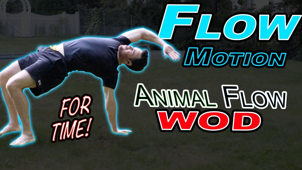 Animal Flow Circuit | Bodyweight WOD - YouTube