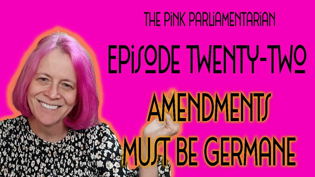 The Pink Parliamentarian Ep. 22 - Amendments Must Be Germane - YouTube