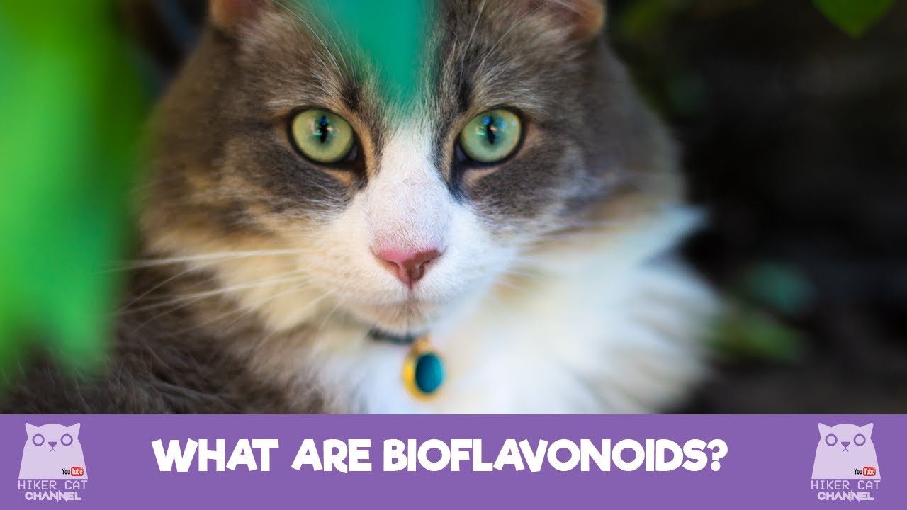 What Are Bioflavonoids? - YouTube
