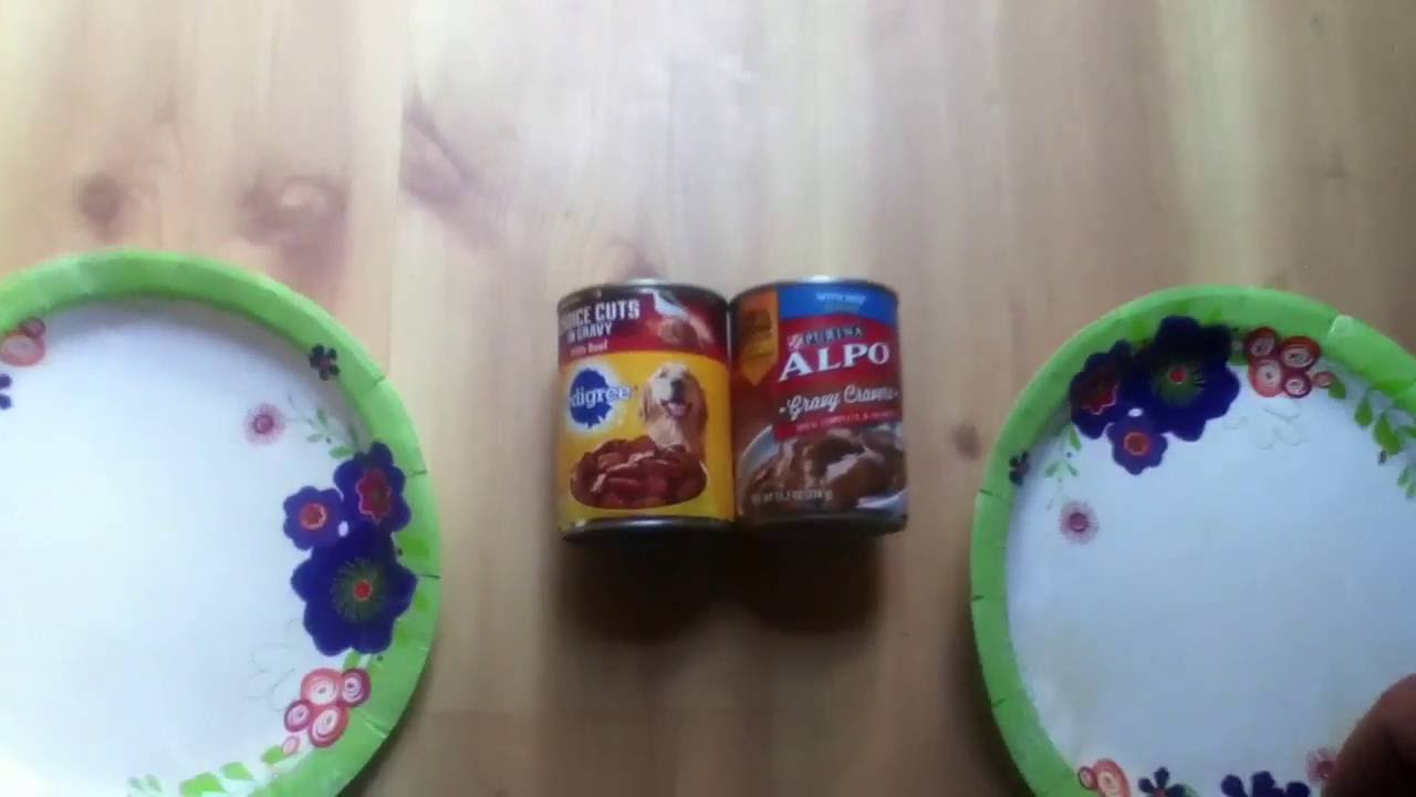 Dog Food Taste Test: Purina Alpo Vs Pedigree - YouTube