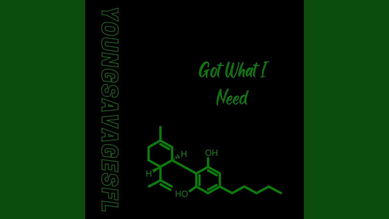 Got What I Need (feat. The Fly One, ToT & J-Bert) - YouTube