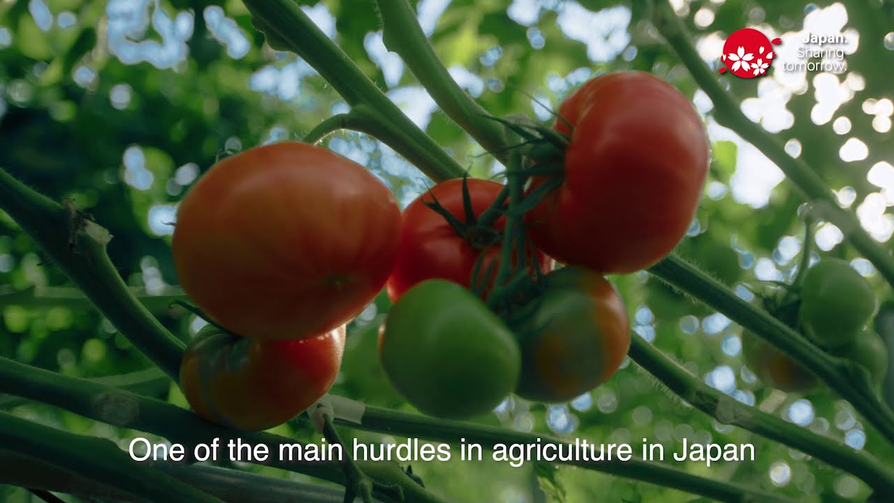Innovation Japan: Technology transforms Japan’s agriculture - YouTube