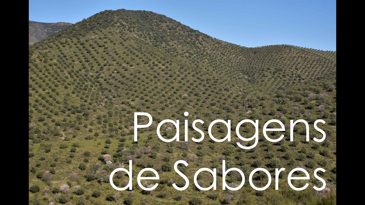 Paisagens de Sabores - YouTube