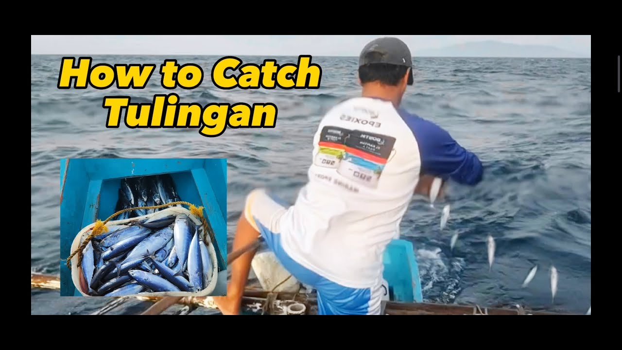 How to Catch Tulingan | KABANTAY - YouTube