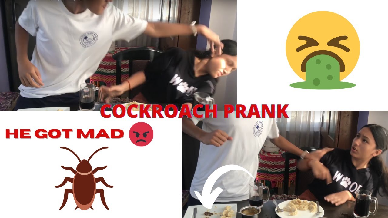 [PRANK] Cockroach prank || I got slap || He got totally mad || MOMO ...