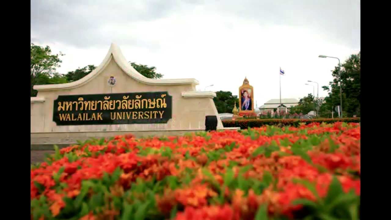 แนะนำสาขาวิศวกรรมวัสดุ มหาวิทยาลัยวลัยลักษณ์ Walailak - YouTube