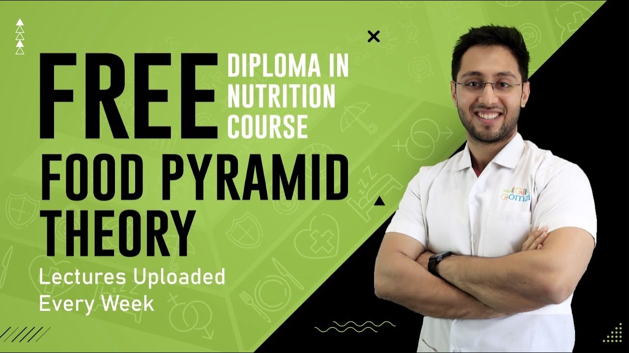 Food Pyramid Theory - YouTube