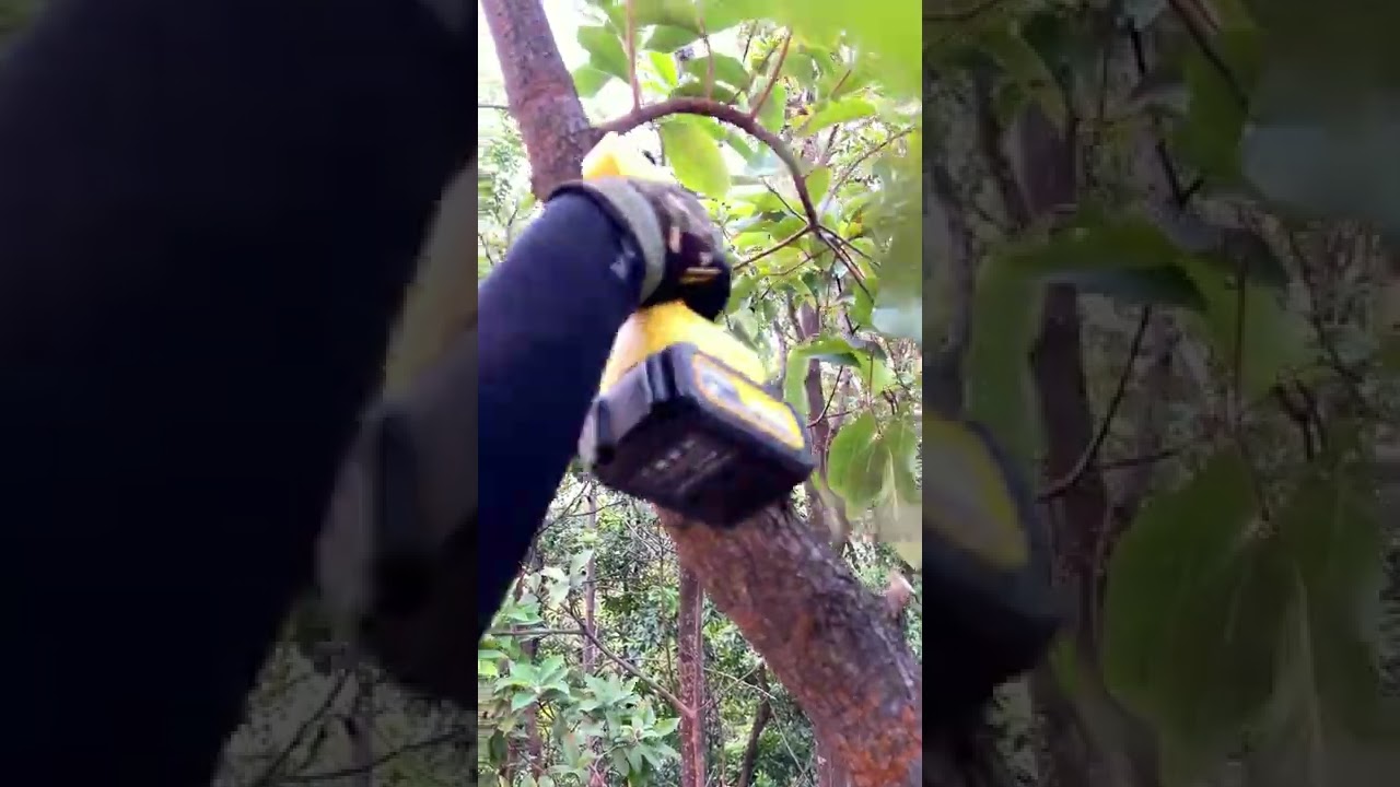 IMOUMLIVE Electric Pruning Shears - YouTube