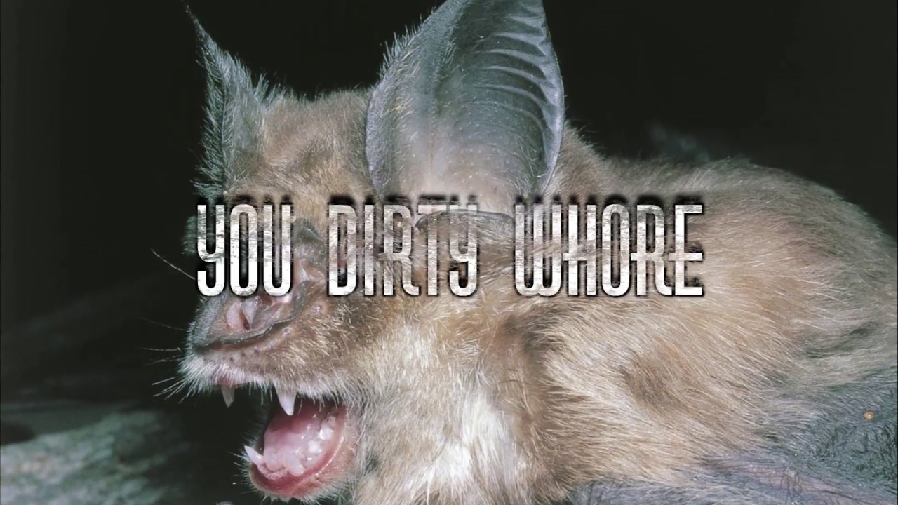 Face Without Fear - My Parasite (lyric video Covid-19 version) (Tripp ...