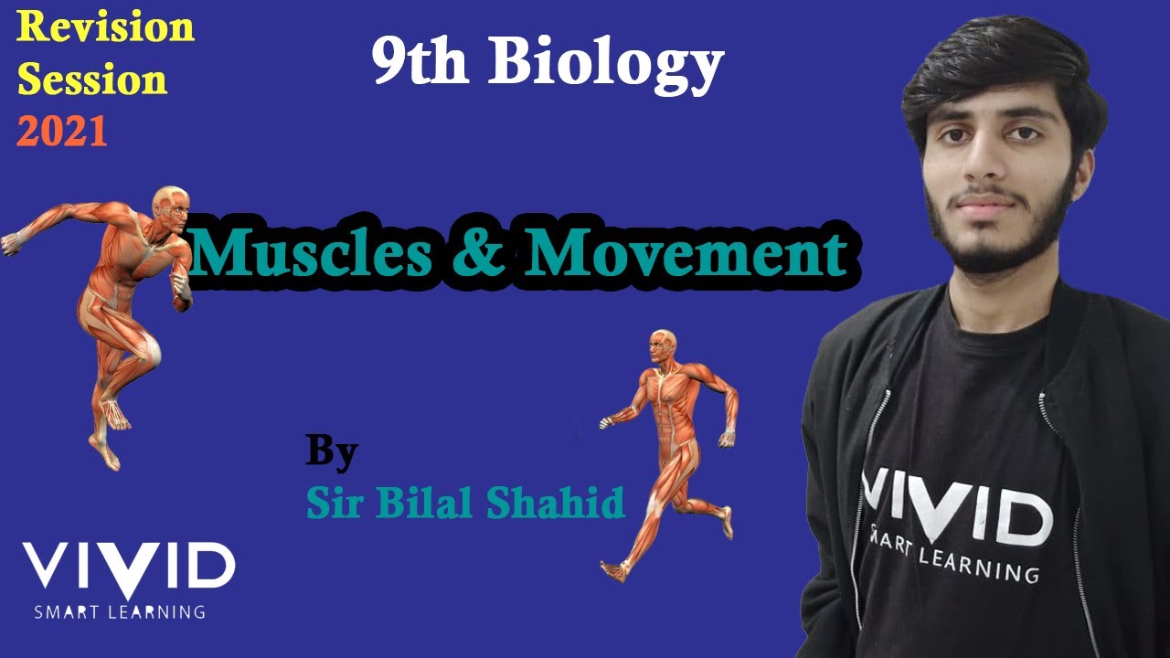 Muscles And Movement 🦴📚 9th Biology I VIVID Smart Learning - YouTube