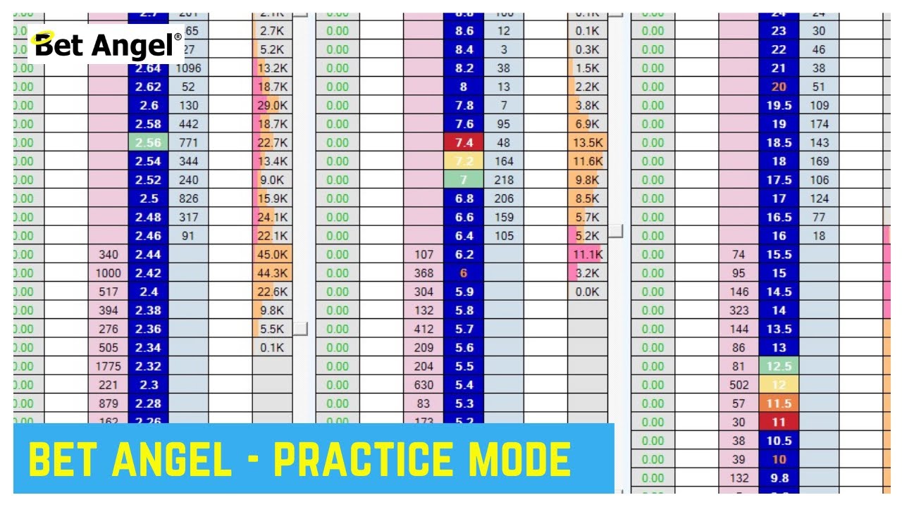 Peter Webb - Bet Angel - Betfair trading - Practice vs Live mode - YouTube