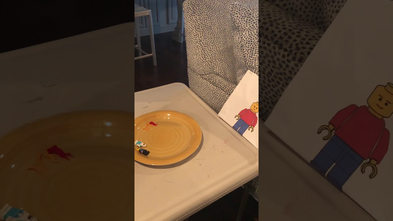 #LEGOS! What Not to Eat!! - YouTube