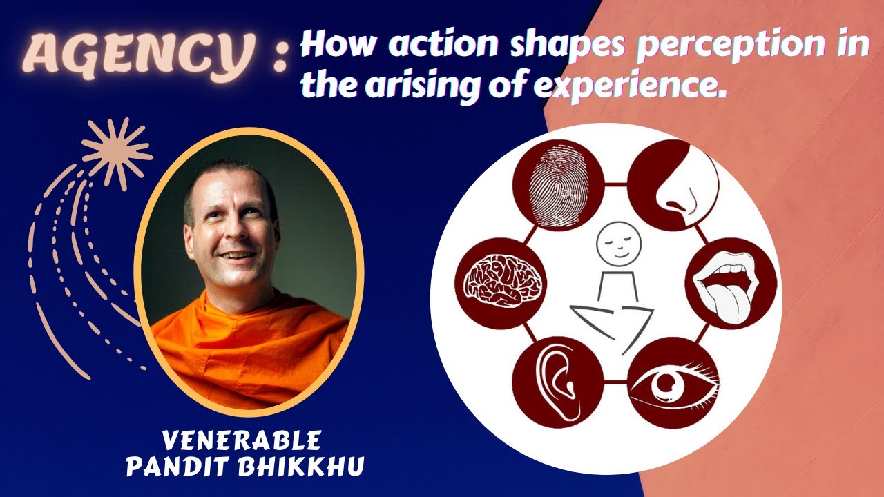 Agency : How action shapes perception in the arising of experience ...