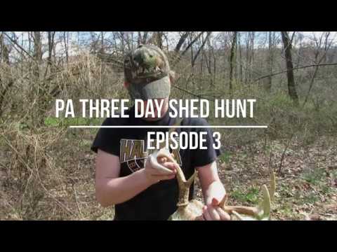 SHED HUNTING PA 2020 (Episode 3) - YouTube