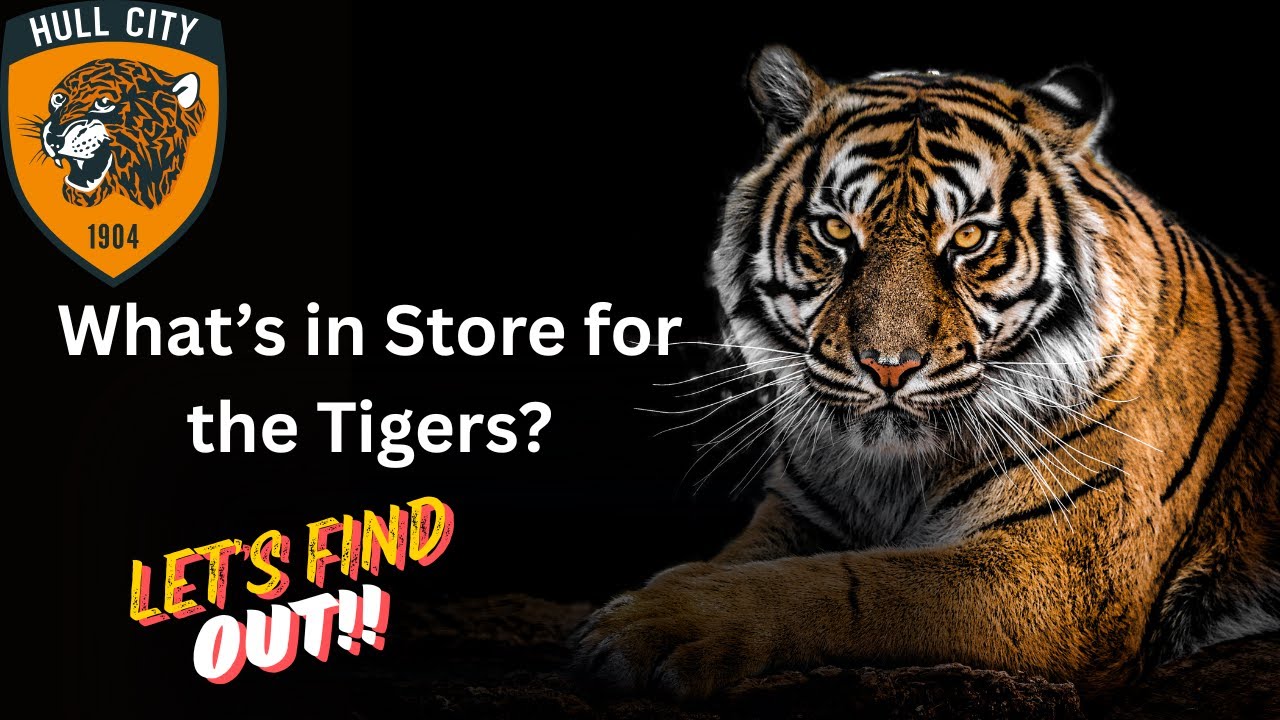 What's in Store for the TIGERS? Let's find out, shall we? - YouTube
