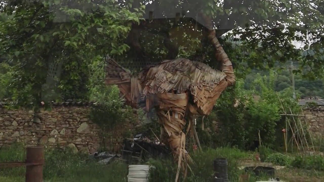 Muzz Murray @ Alberodonte - YouTube