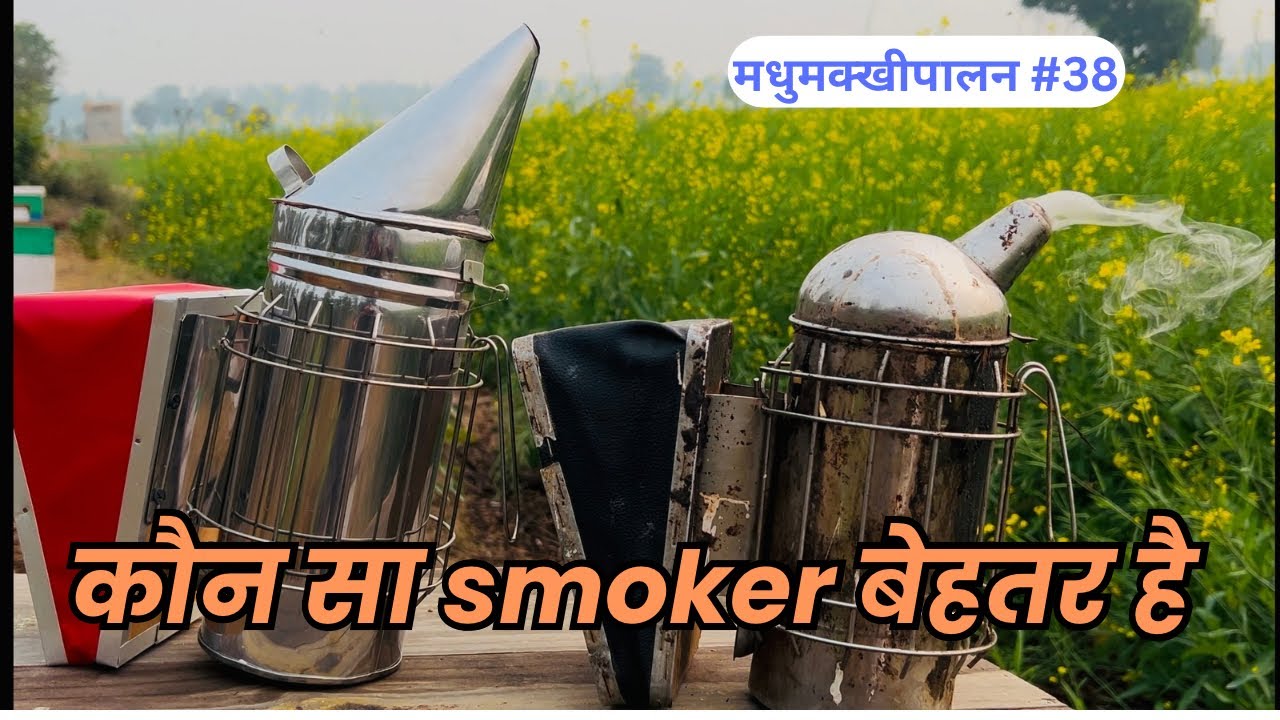 अच्छा smoker कौन सा है और कहाँ सें ख़रीदें / Importance Of a Good Smoker @ Indian Buzz Apiary ...