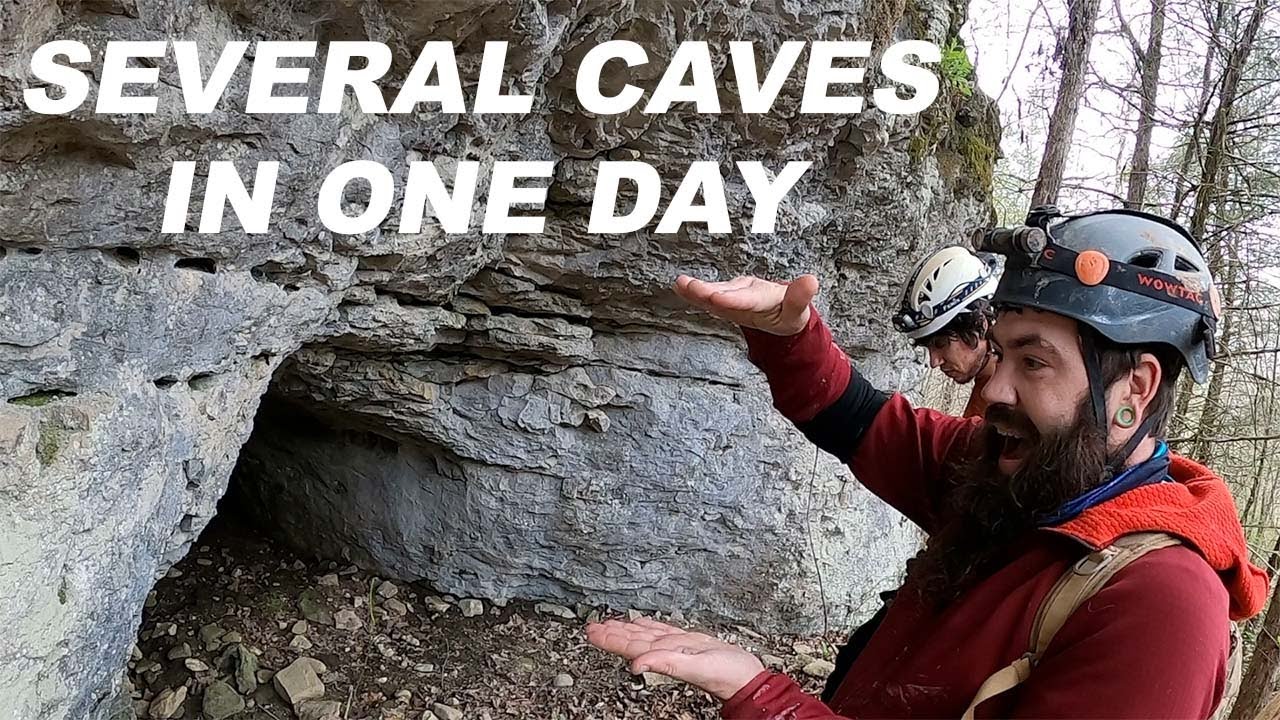 Cave Exploration and Wildlife Survey in the Ozarks for the Cave ...