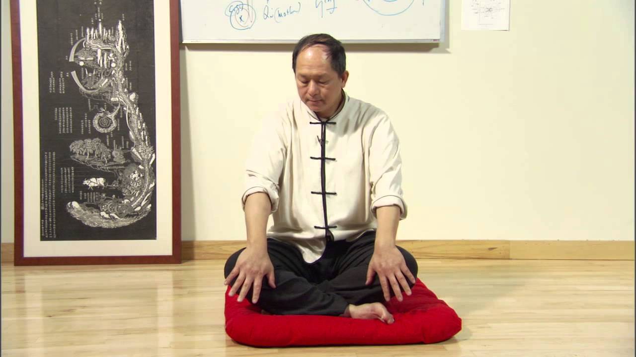 Understanding Qigong DVD 3 (YMAA 6-DVD series) Dr. Yang, Jwing-Ming ...