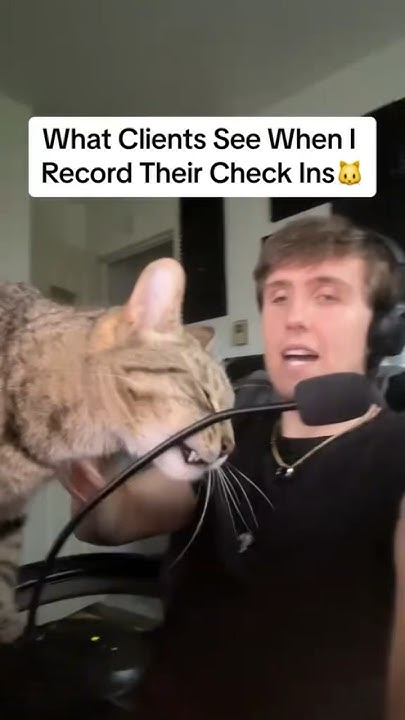 Cat Interrupts Work Day - YouTube