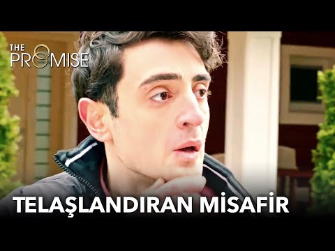 Taci'yi telaşlandıran misafir | Yemin 336. Bölüm