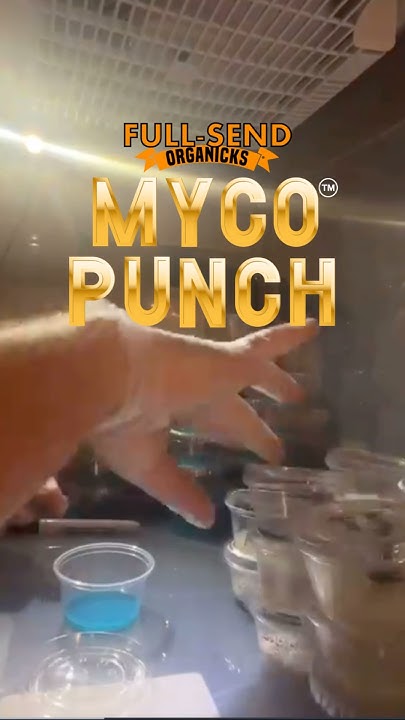 Myco Punch agar tool: Welcome to the future of Mycology! #shortvideo - YouTube