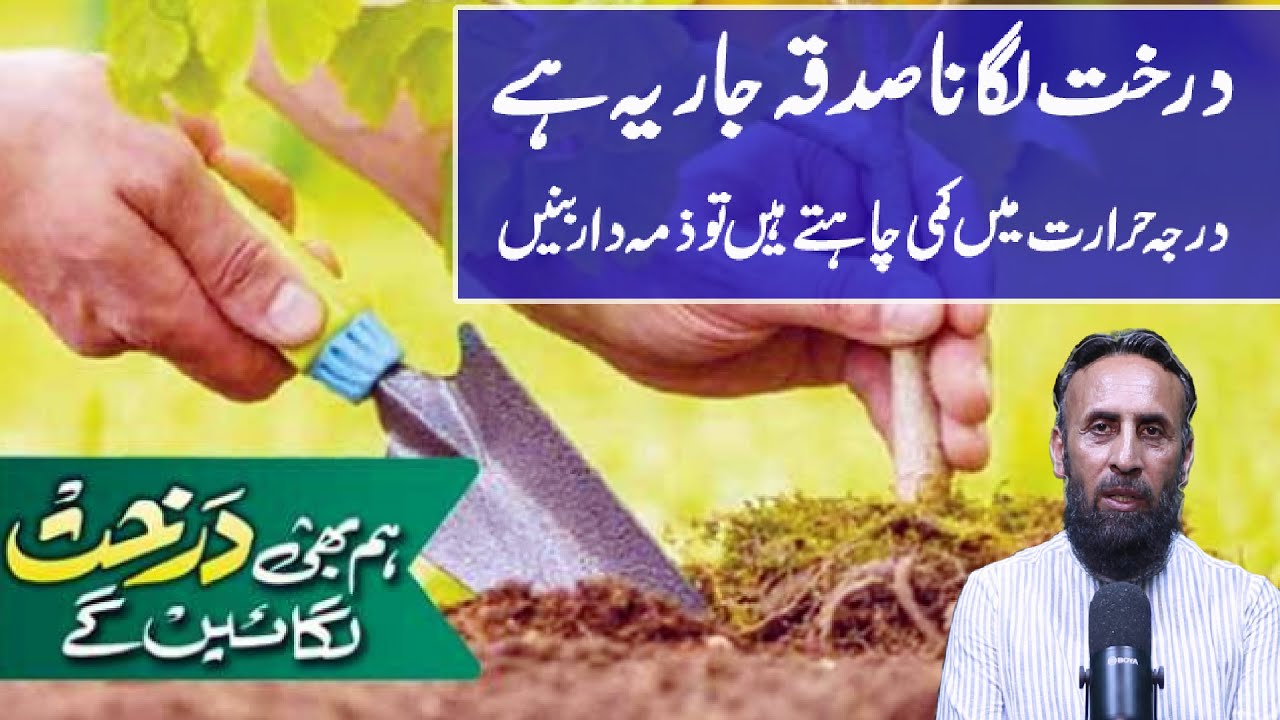 Why Do We Need Trees? | Eco Facts | One Tree Planted | Al Kitab ...