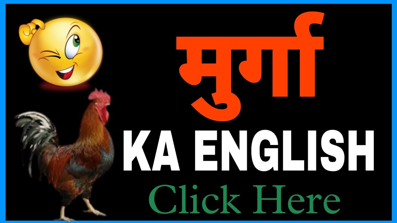 murga ko english mein kya kahate hain | murga ko english me kya kehte ...