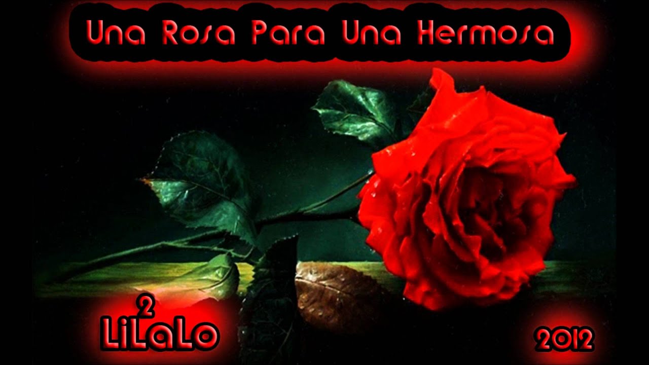 Una Rosa Para Una Hermosa - LiL2aLo - YouTube