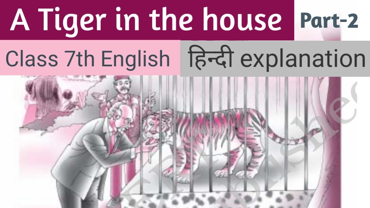 A Tiger In The House Part 2 Class 7 English Ncert cbse YouTube a-tiger-in-the-house-part-2-class-7-english-ncert-cbse-youtube