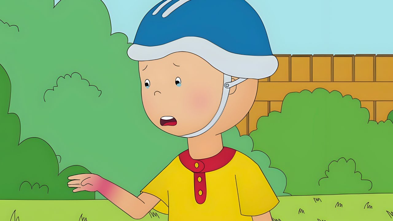🛹 Caillou Intenta Patinar 😭 | Las Nuevas Aventuras de Caillou | Caillou ...