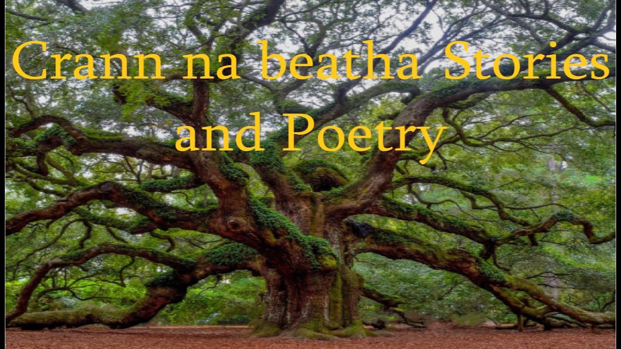 Activism in Stories and Poems - YouTube