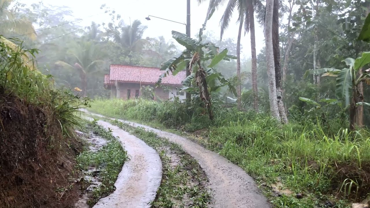 Super heavy rain and strong Thunder crazy and scared | Sleep ...
