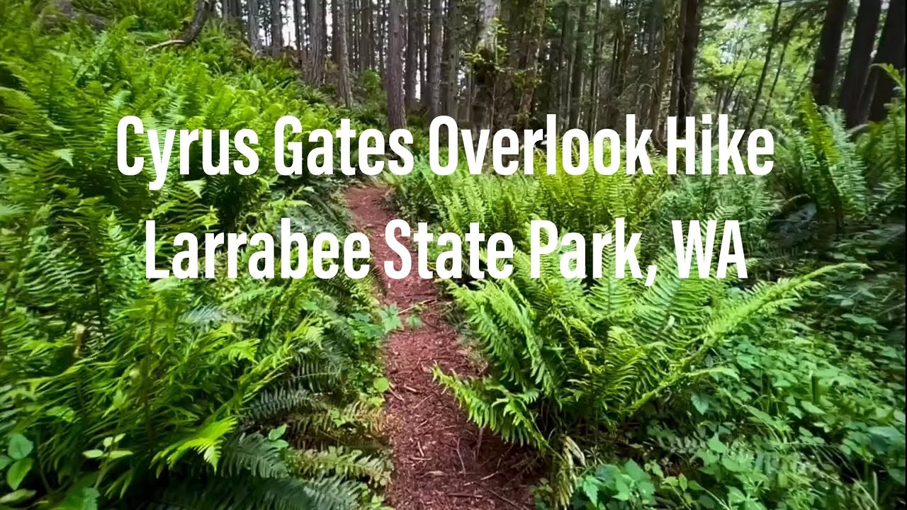 Cyrus Gates Overlook Hike, Larrabee State Park, WA - YouTube