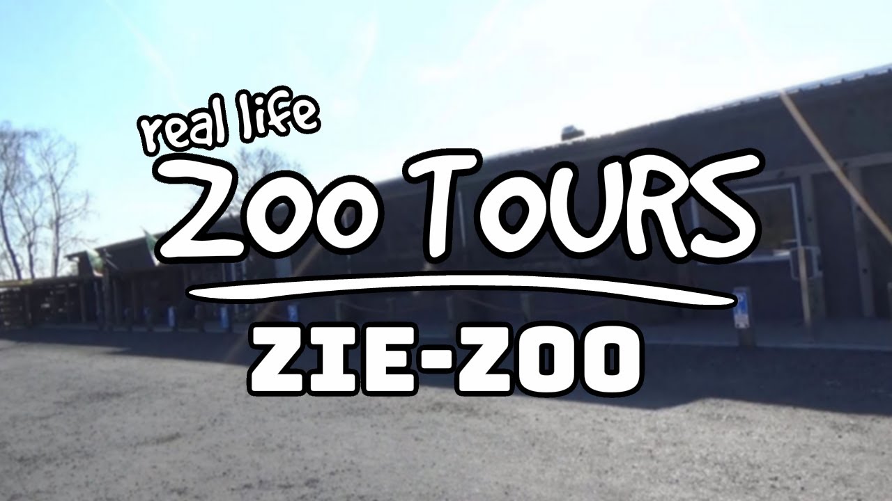 ZieZoo, Old and New | Real Life Zoo Tours (ft. @Lucoshi10) - YouTube